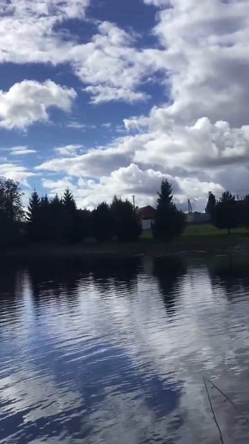 Ленобласть. Хвойное. 19.09.2025. Рыбалка на Вуоксе с котенком Персиком. Эпизод 5