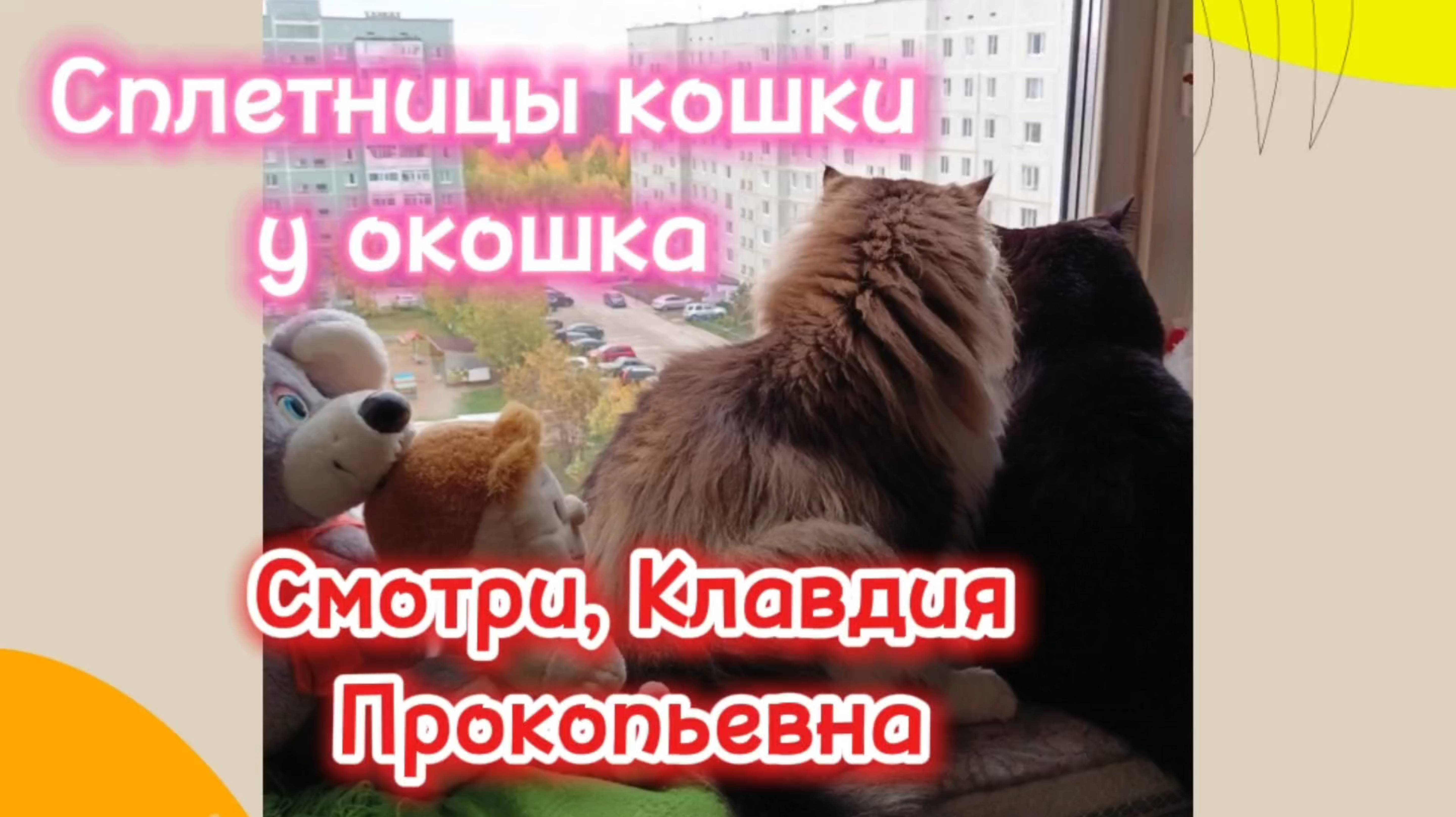 Кошки с озвучкой.