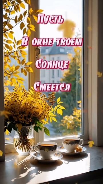 Видеооткрытка