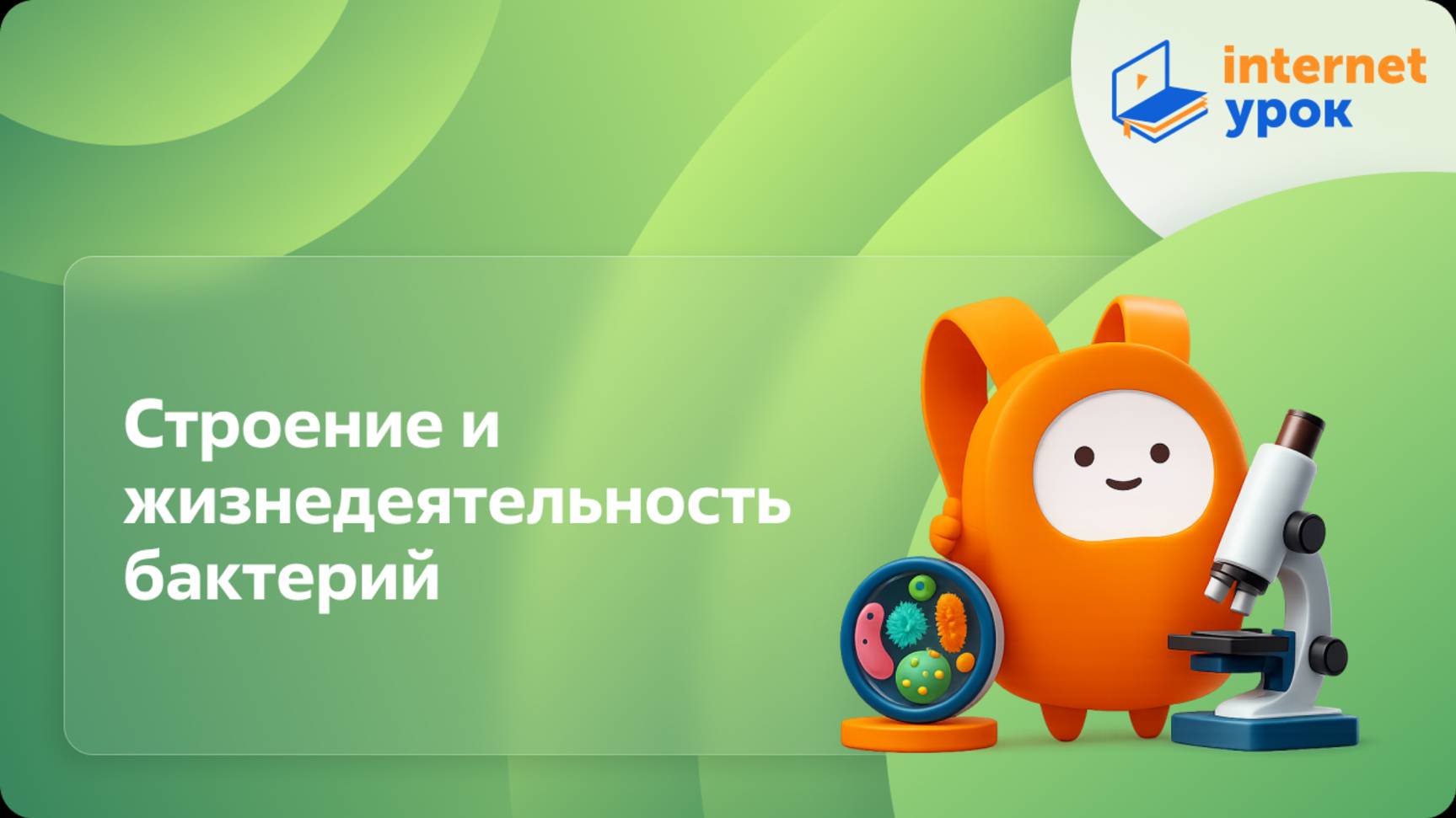 Строение и жизнедеятельность бактерий. Видеоурок по биологии 5 класс