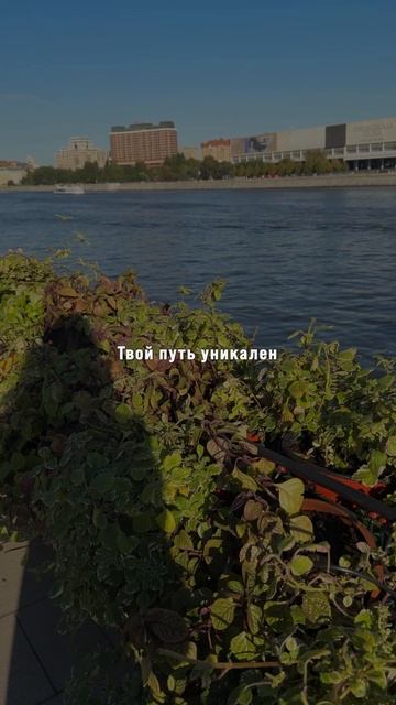 Ты тратишь силы, чтобы казаться сильным, вместо того чтобы реально быть таким