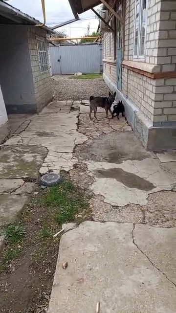 Обидели? Не дали поспать?
