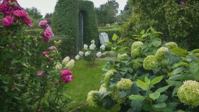 Дела дачные  5 часть