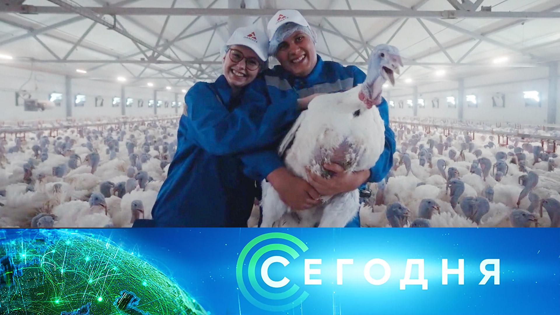 «Сегодня»: 21 сентября 2025 года. 16:00 | Выпуск новостей | Новости НТВ