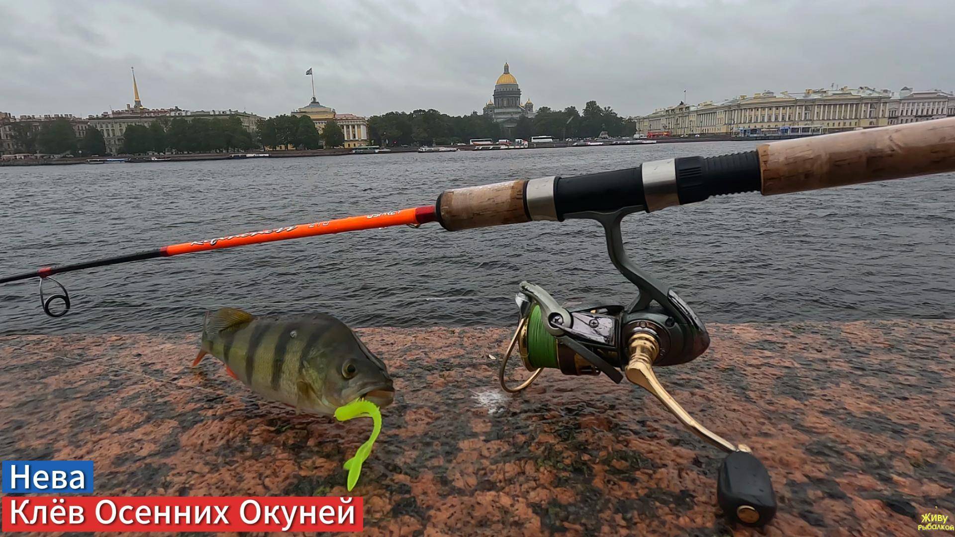 ОСЕНЬ НЕ КЛЮЁТ СЕГОДНЯ БУДЕТ ЗАВТРА НЕВА РЫБАЛКА БЫВАЕТ РАЗНОЙ БЫВШИЕ КЛЁВЫЕ ТОЧКИ ИЩЕМ ОКУНЯ СУДАКА