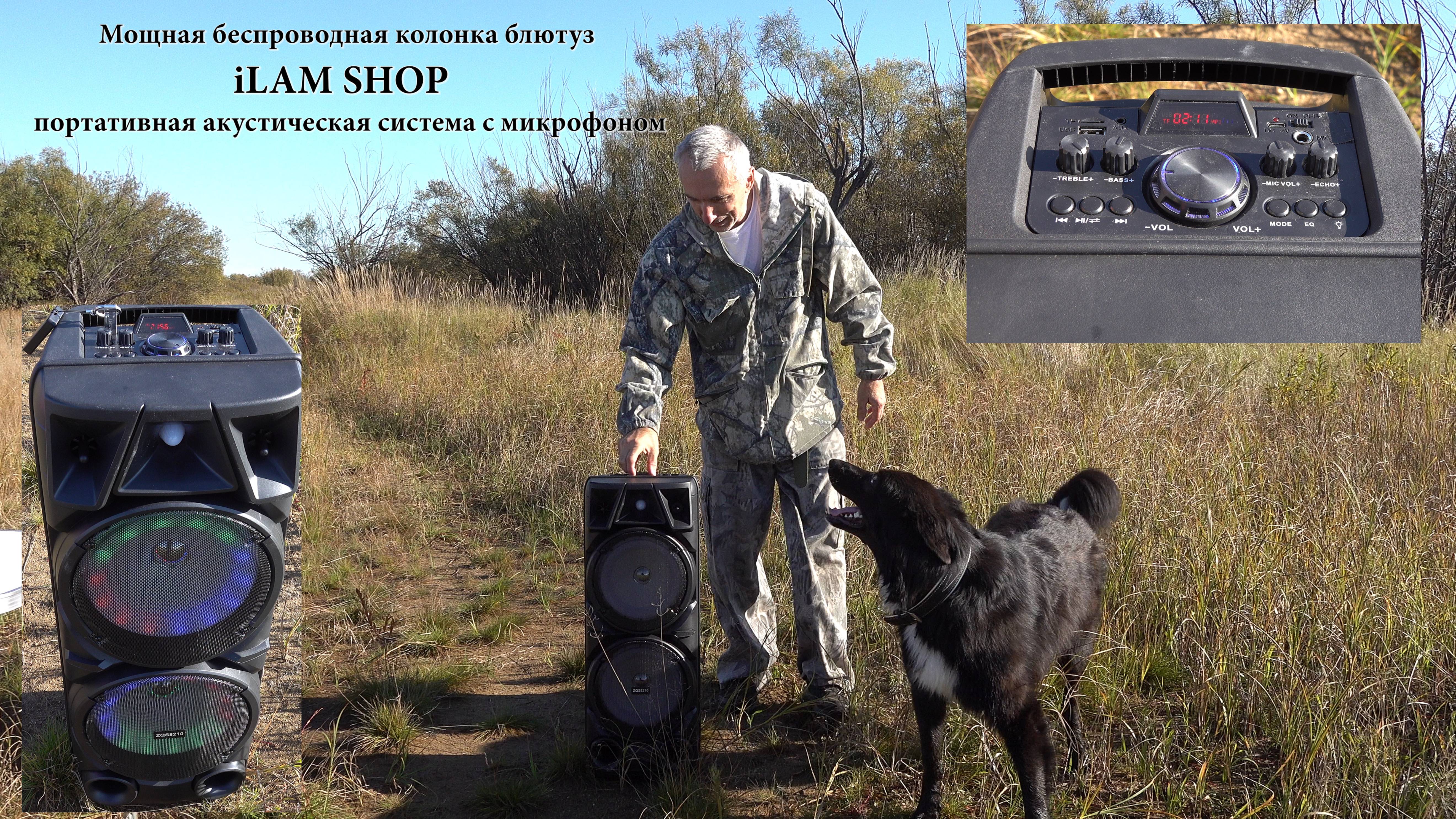 Мощная беспроводная колонка блютуз iLAM SHOP, портативная акустическая система с микрофоном