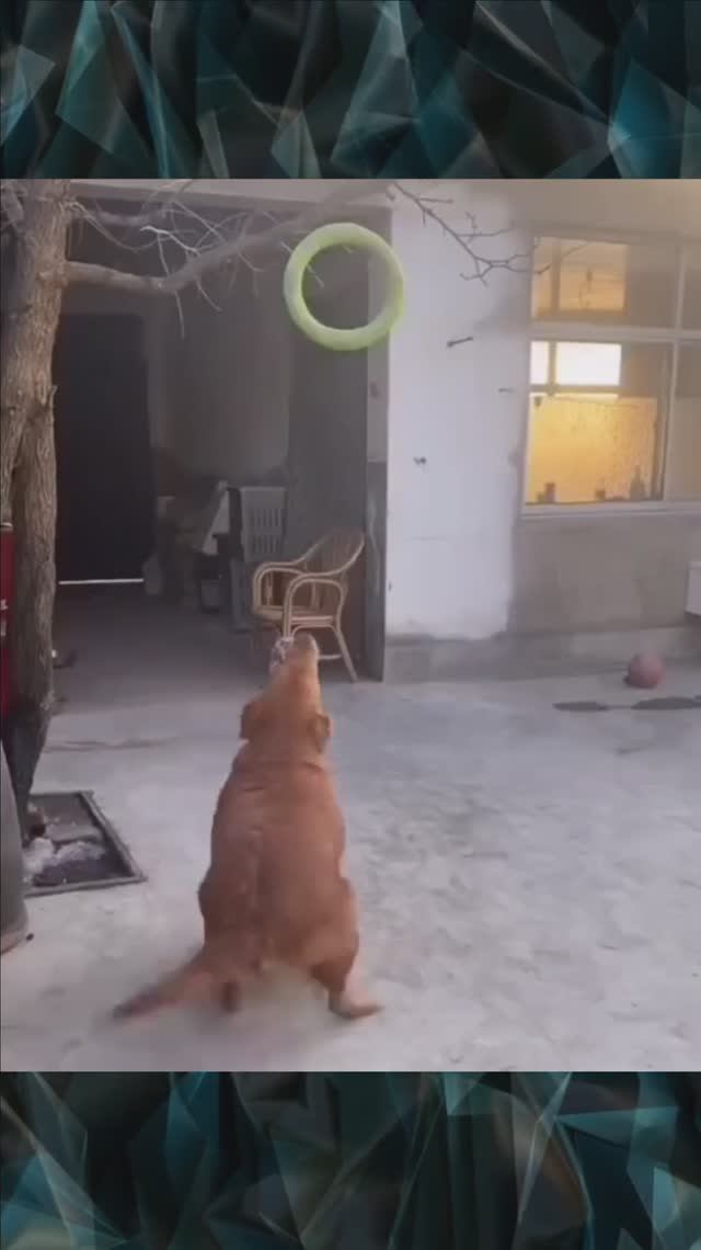 Не надо прыгать, надо думать