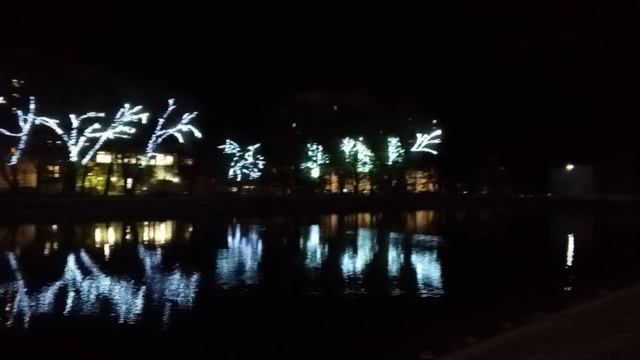 VID_20231013_203953