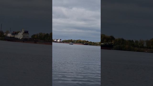 Рыбалка на канале им. Москвы