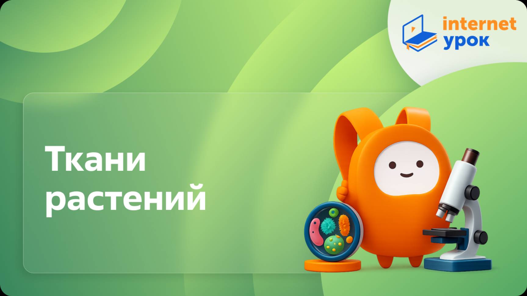 Ткани растений. Видеоурок по биологии 5 класс
