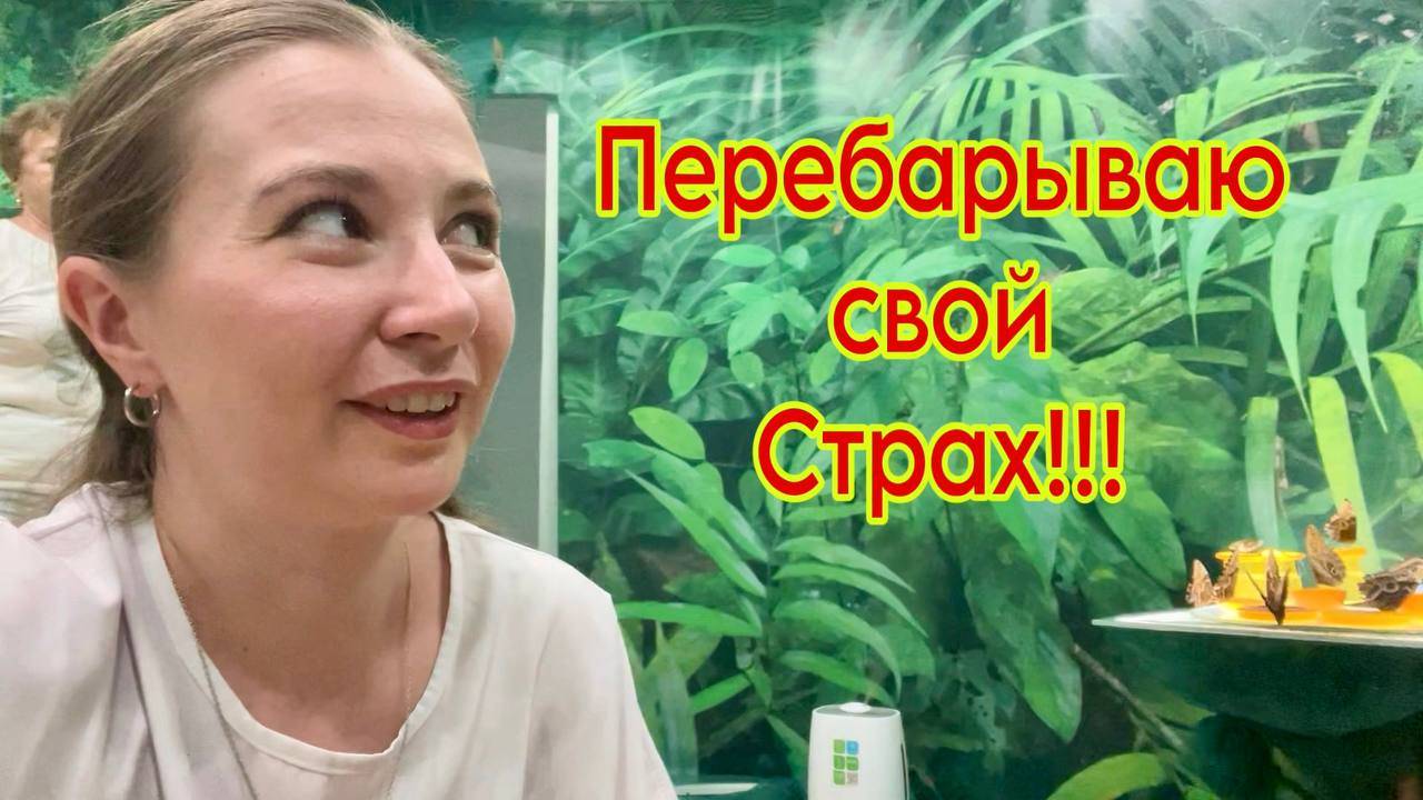 Владивосток с детьми! Первый раз на море! Дом бабочек! Зоопарк рептилий!