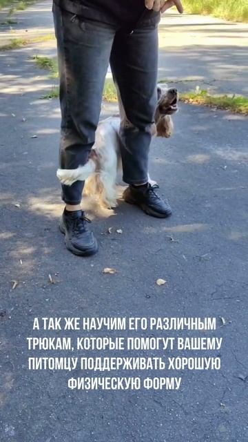 Открытие школы  «Кинологика» в Зеленограде!