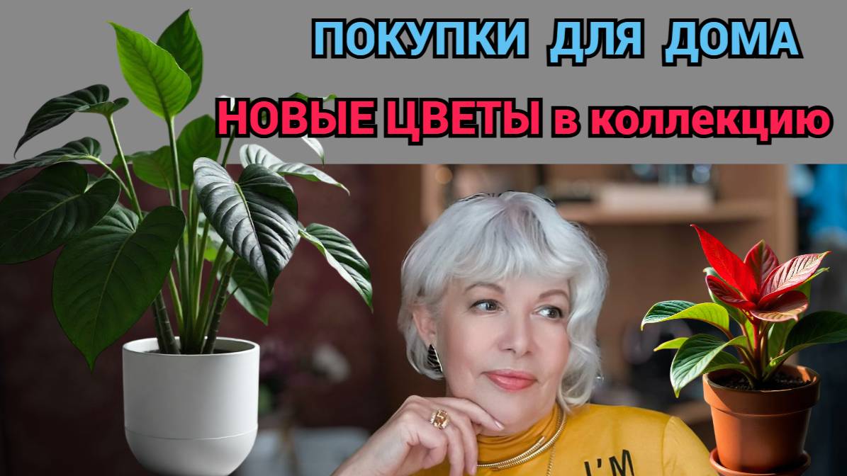 ✅Прошу совета/Покупки для дома/ Новые цветы из Индонезии