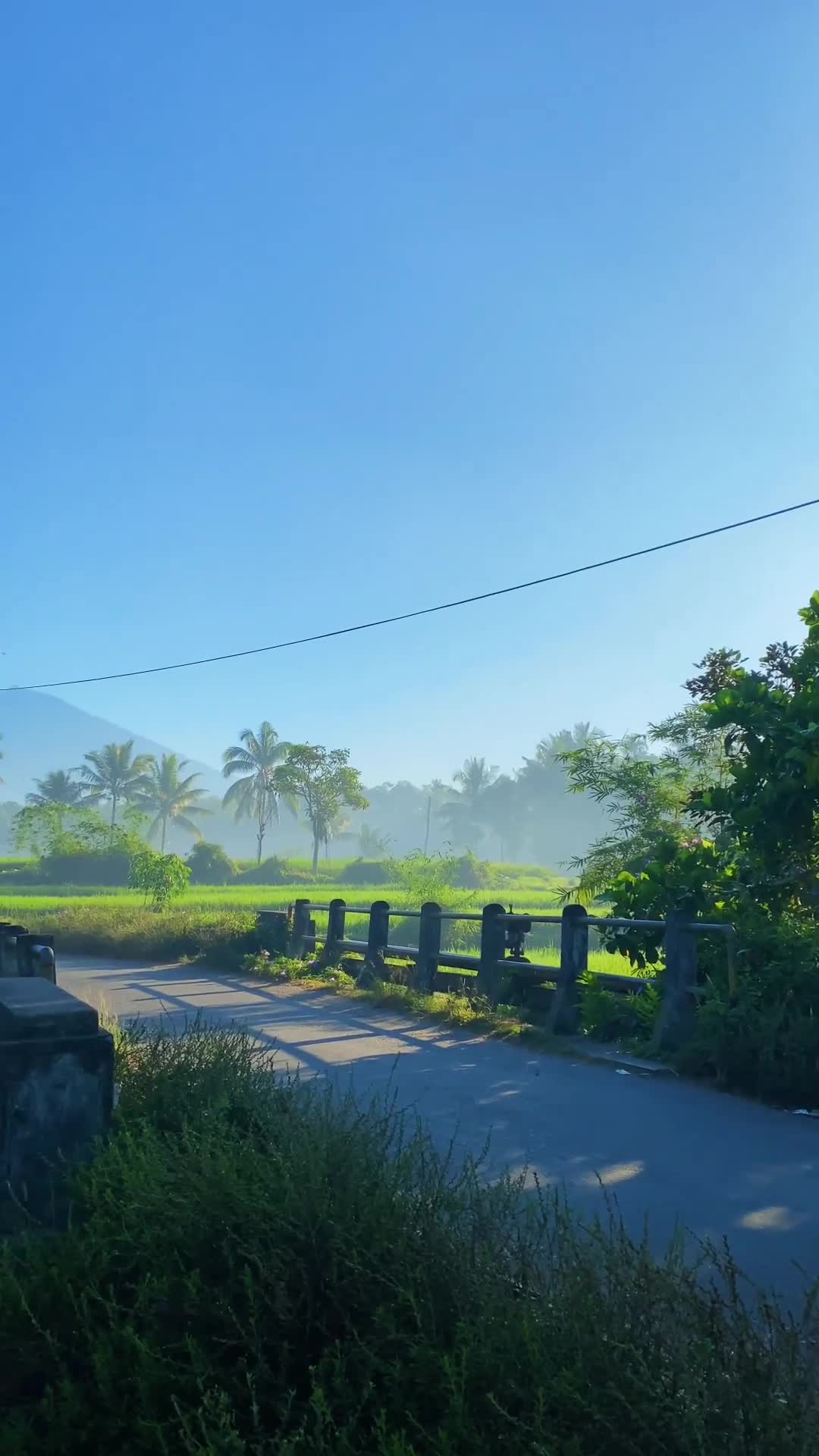 Подпишись 👉 👉 https://kamennyi-zver.ru — смотреть короткие видео (Shorts) в хорошем качестве и ...