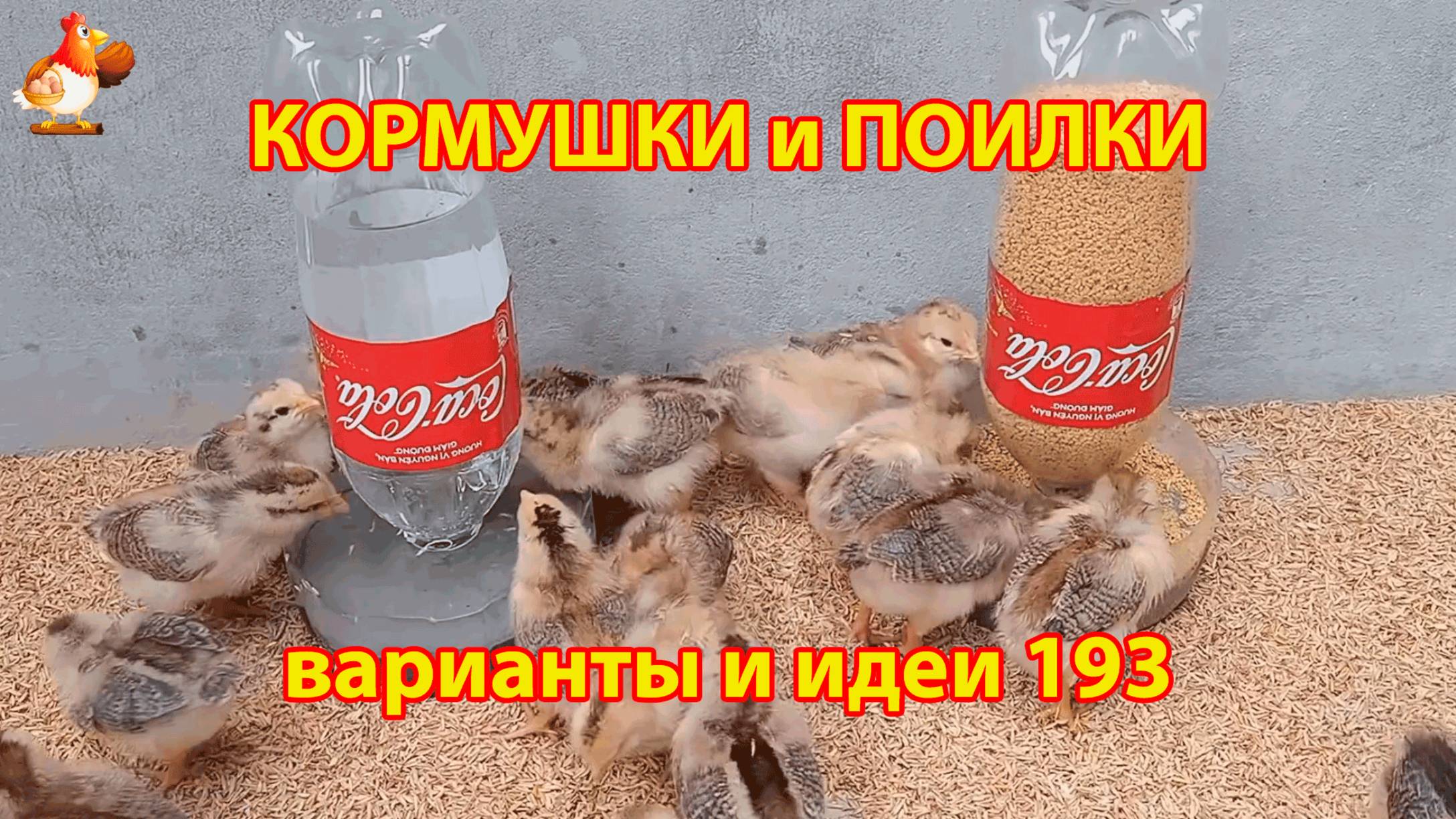Кормушки и поилки для кур своими руками (193) 🪚✂️ Пошаговая инструкция как сделать 🐔 🐓❣️