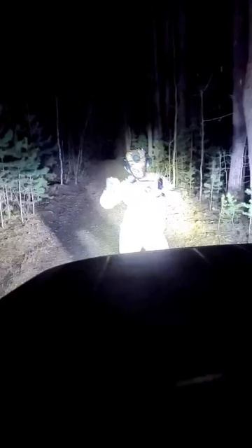 Наши мальчики