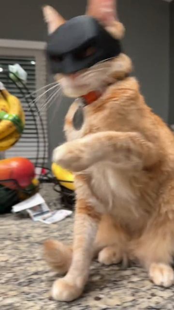 3 стадии: отрицание осознание принятие 😼