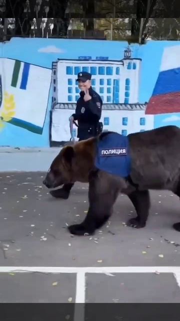 Это Россия)