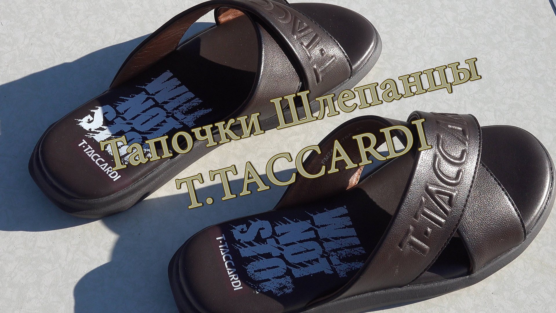 Тапочки Шлепанцы T.TACCARDI с ОЗОН