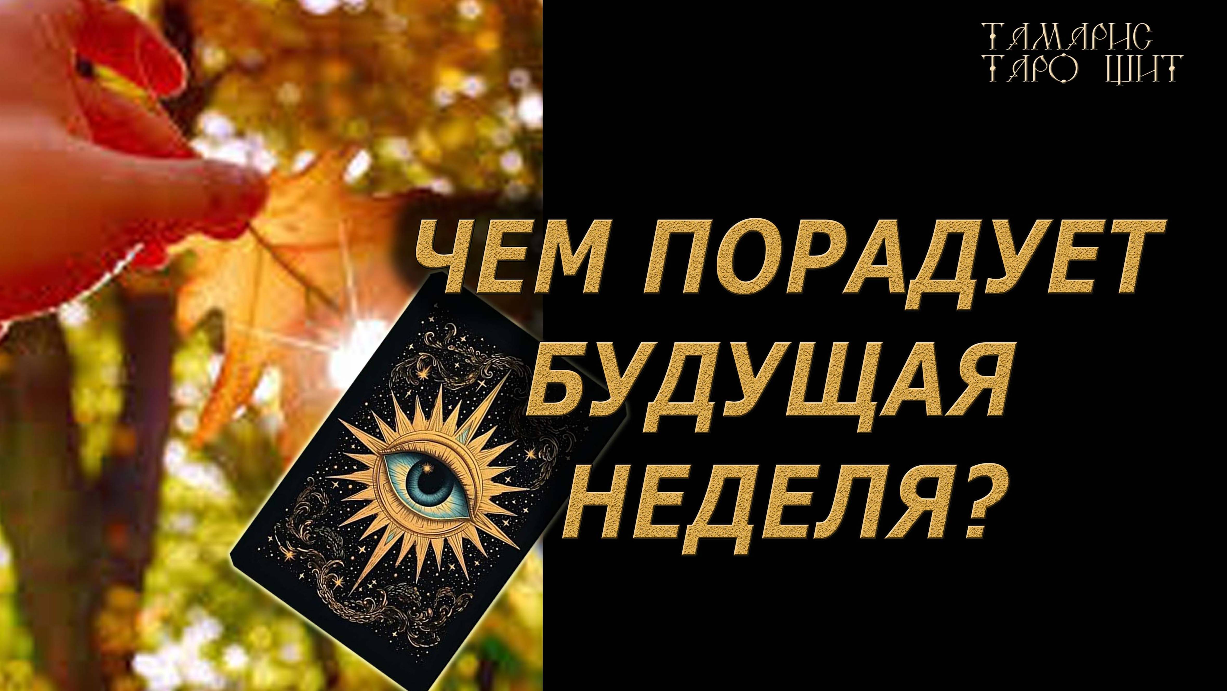 ЧЕМ ПОРАДУЕТ НОВАЯ НЕДЕЛЯ🔥🔮🔥#гадание#на#картах#таро#gadanie#tarot#онлайн