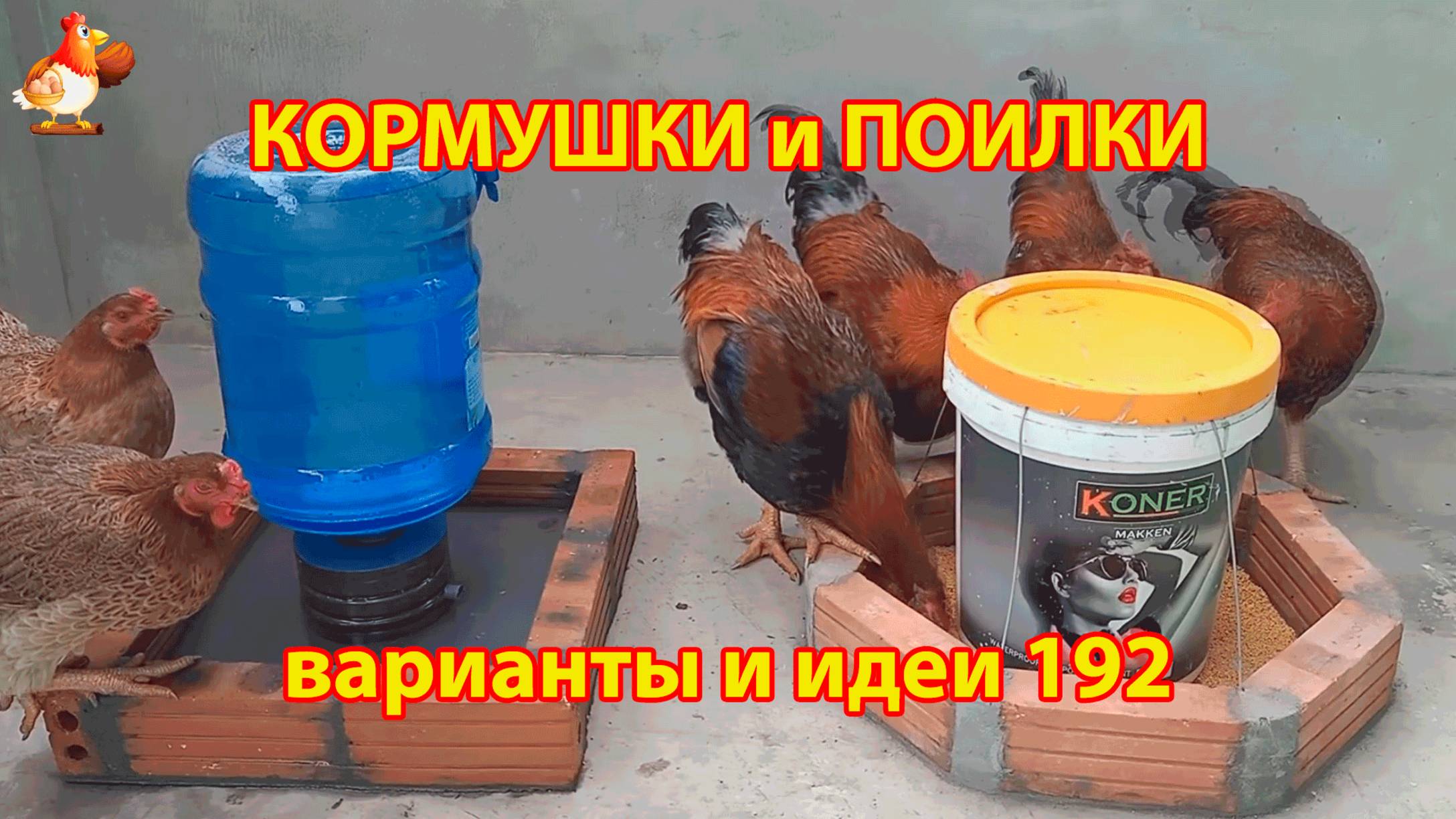 Кормушки и поилки для кур своими руками (192) 🪚✂️ Пошаговая инструкция как сделать 🐔 🐓❣️