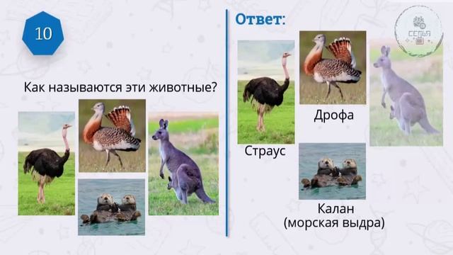 СЕНТЯБРЬ НАЧАЛО УЧЕБНОГО ГОДА ПОДГОТОВКА К ШКОЛЕ И ЗНАНИЯМ