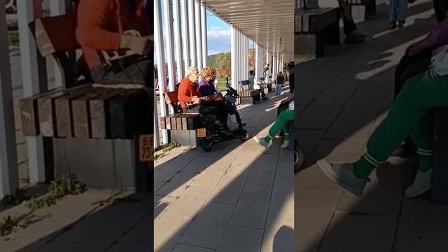 БАБЬЕ ЛЕТО 20.09.2025 (+20)