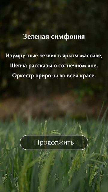 Слова 3