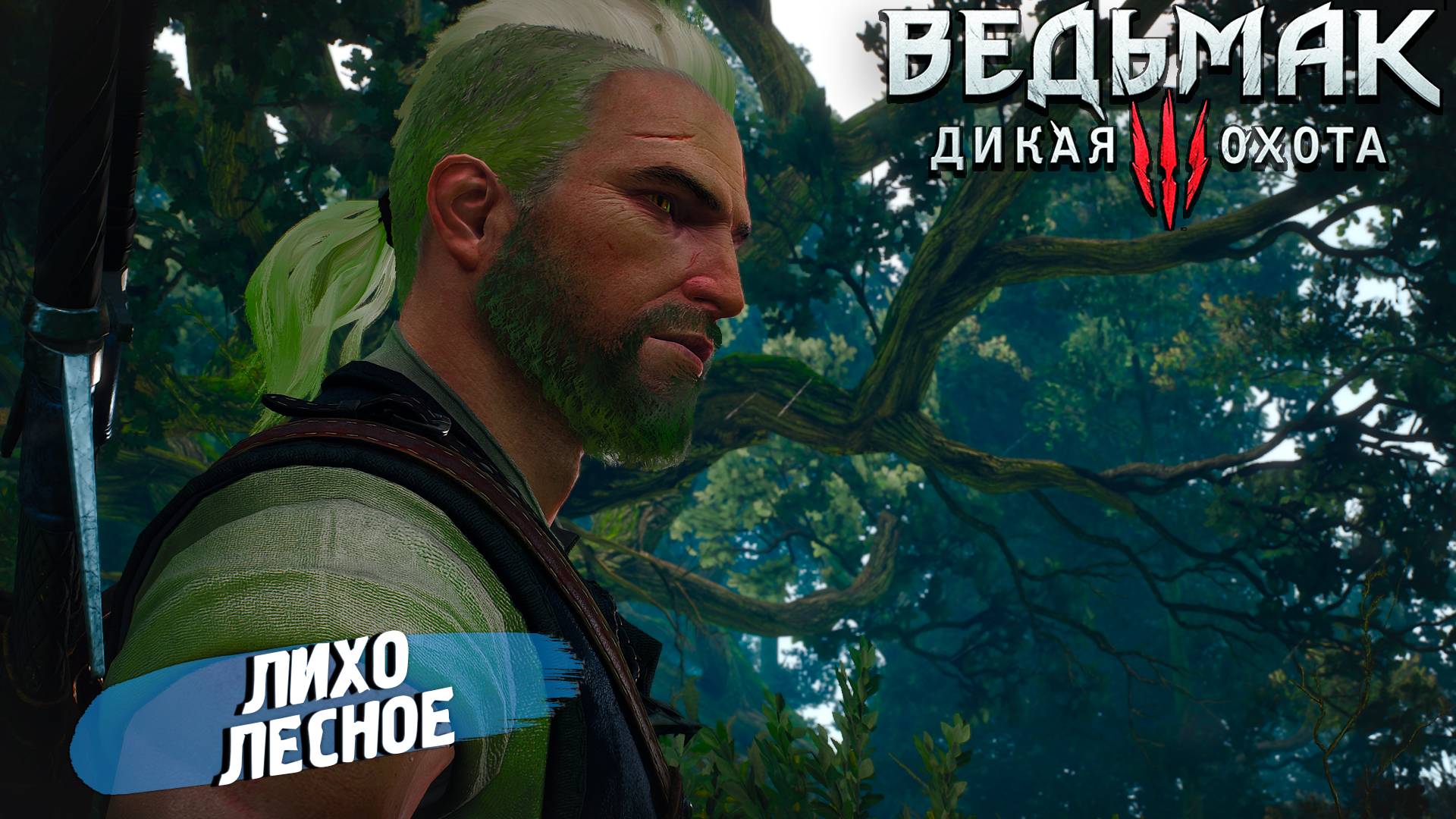 ЛИХО ЛЕСНОЕ ➤ Ведьмак 3 Дикая Охота #32