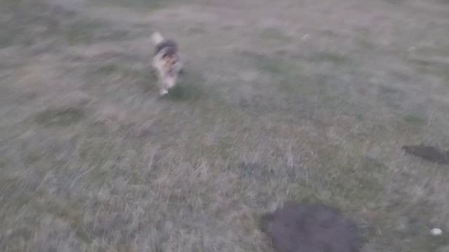 Дик качается не на шутку :)