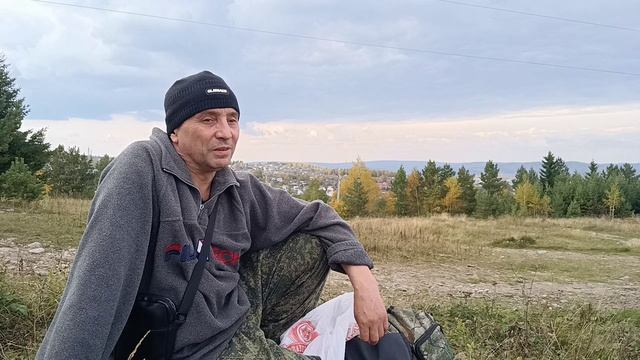 О медведях.