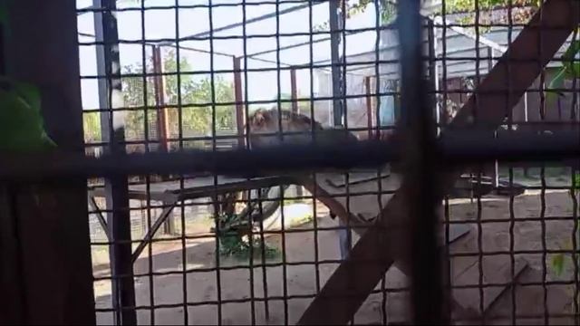 Шархан Обед 21.09.2025 видео от Ивана