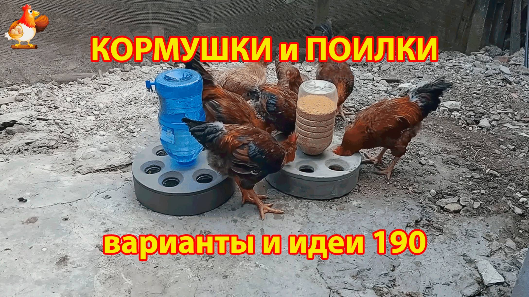 Кормушки и поилки для кур своими руками (190) 🪚✂️ Пошаговая инструкция как сделать 🐔 🐓❣️