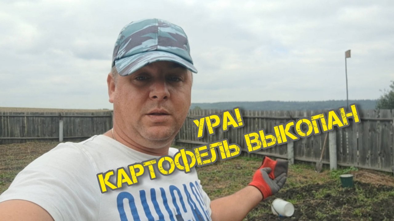 Ура! Первый урожай картофеля выкопан.