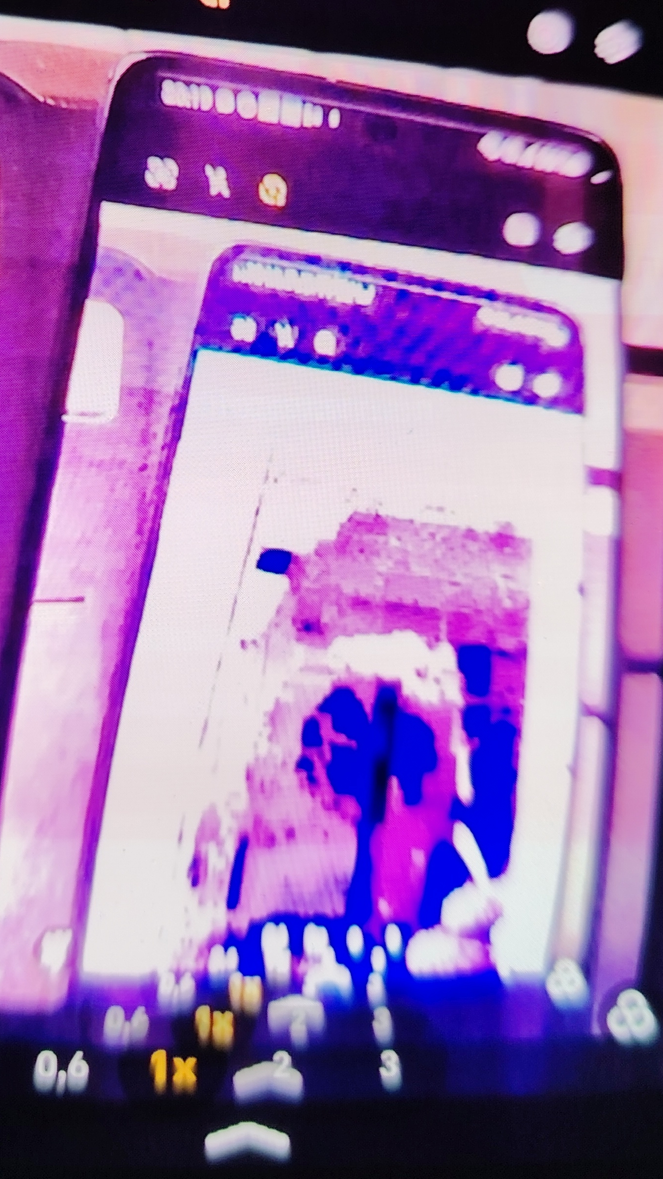 scene_output.mp4