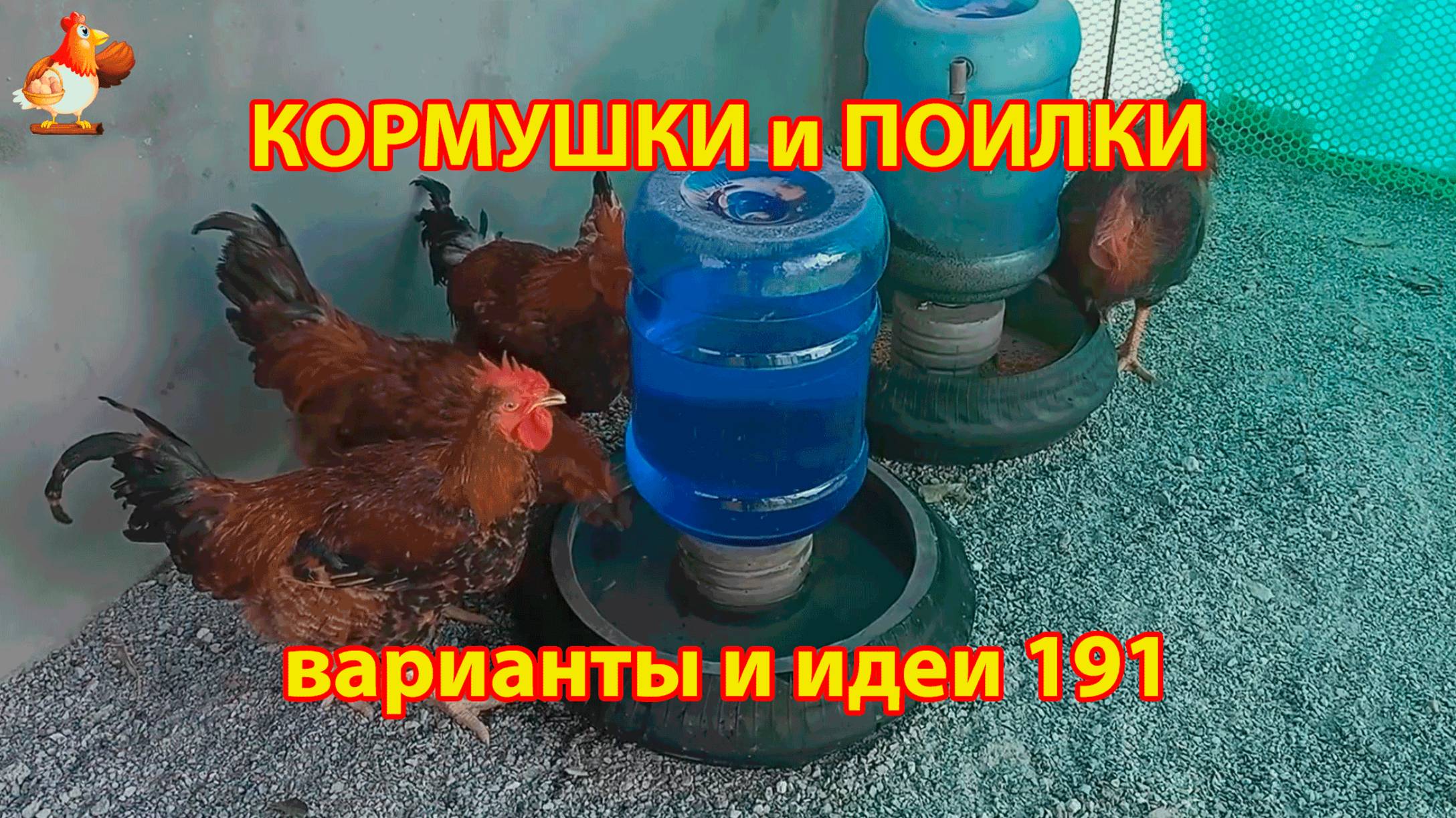 Кормушки и поилки для кур своими руками (191) 🪚✂️ Пошаговая инструкция как сделать 🐔 🐓❣️