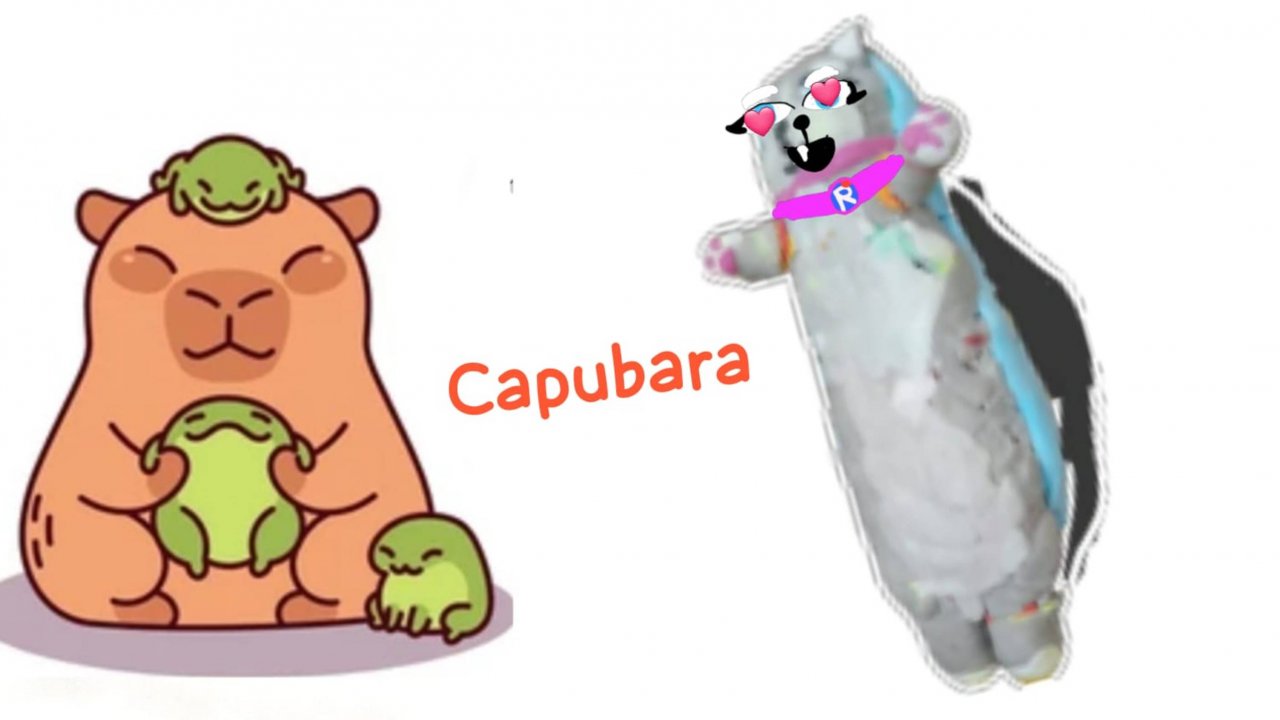 Милая капибара и собака Хаска