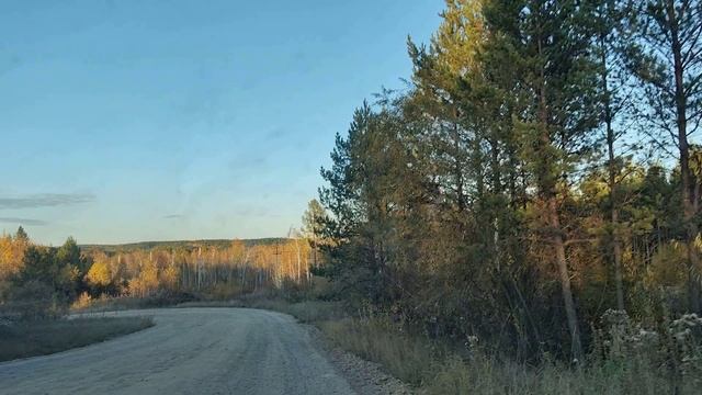 Дорога-осень