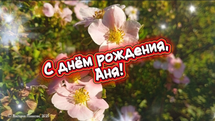 С днём рождения, Аня!