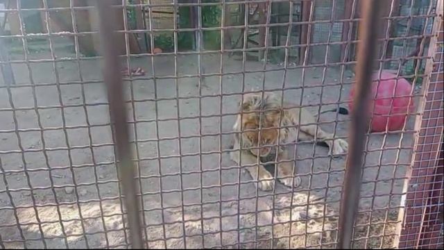 Шархан 21.09.2025 видео от Ивана