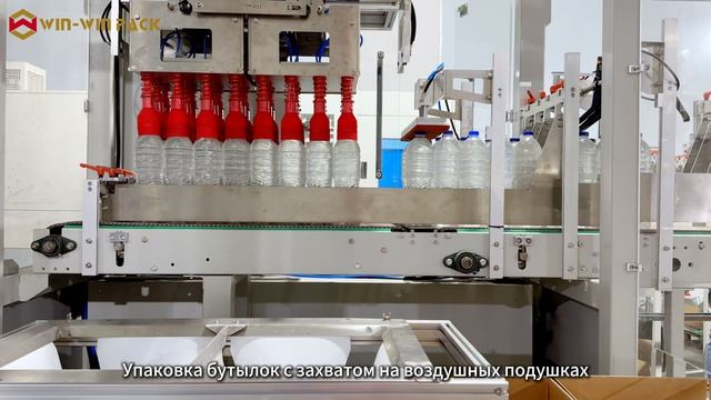 Паллетайзер типа «Pick and Place» для бутылок / Упаковка минеральной воды / Кейспакер
