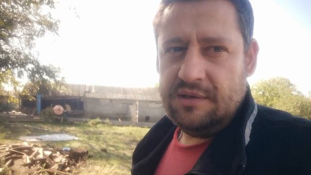 Начал подготовку площадки под новый сарай, эксперименты с озоном, травлю насекомых.