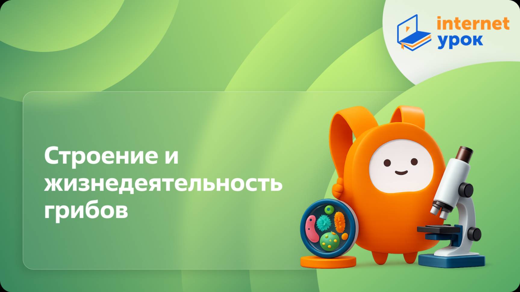 Строение и жизнедеятельность грибов. Видеоурок по биологии 5 класс