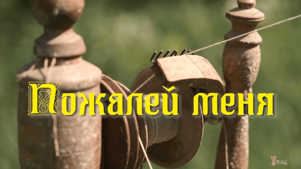 Пожалей меня. Стихи - Л.Гордеева, монтаж и генерация звука в ИИ - Е.Доставалов
