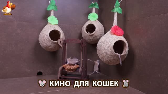 Видео для кошек про крысок развлекать питомцев 🐭🐀😂 (324)