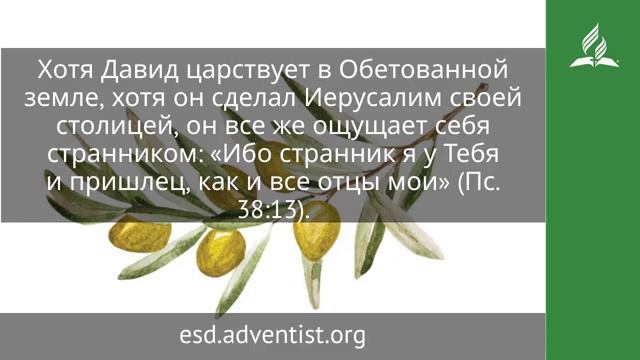 23 сентября 2025. «Входите тесными вратами». Под сенью благодати | Адвентисты