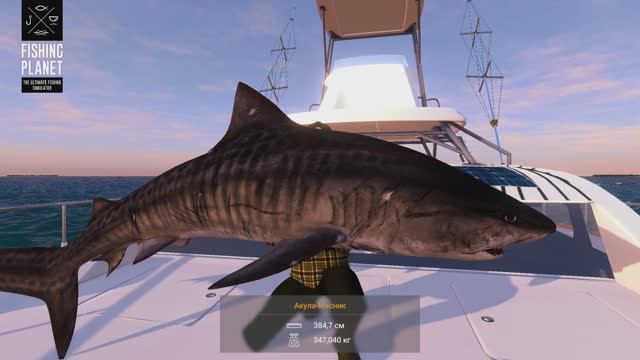 Fishing Planet. Мальдивы. Зубастое Испытание. Акула Мясник. (Прохождение миссий)