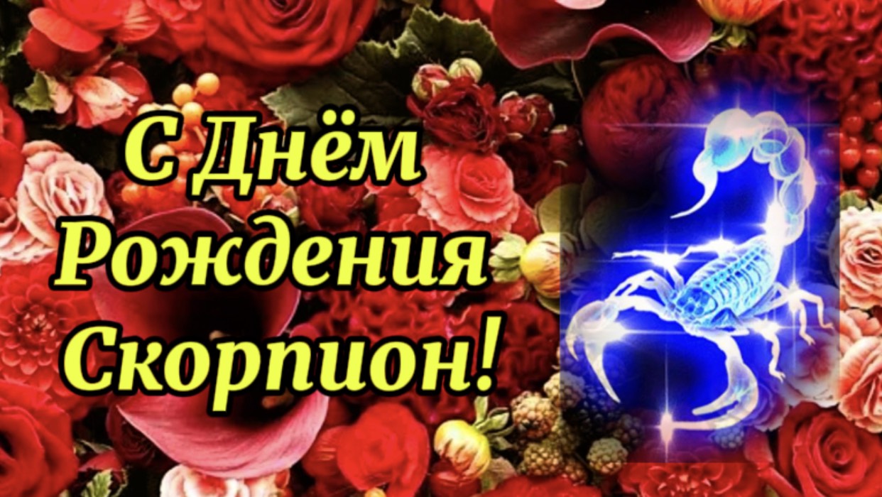 Скорпион С Днем Рождения. 23 октября-21 ноября. День Рождения. Знак Зодиака