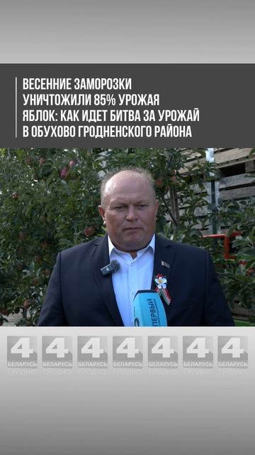 Весенние заморозки уничтожили 85% урожая яблок: как идет битва за урожай в Обухово