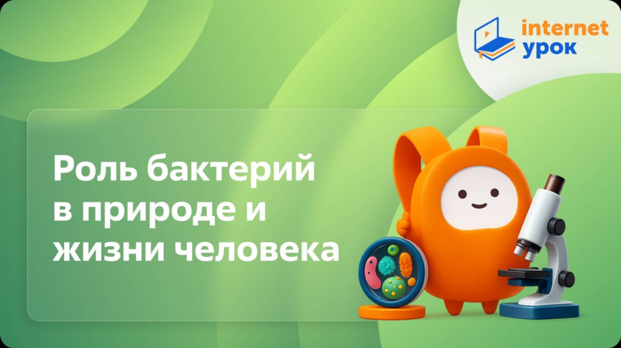 Роль бактерий в природе и жизни человека. Видеоурок по биологии 5 класс